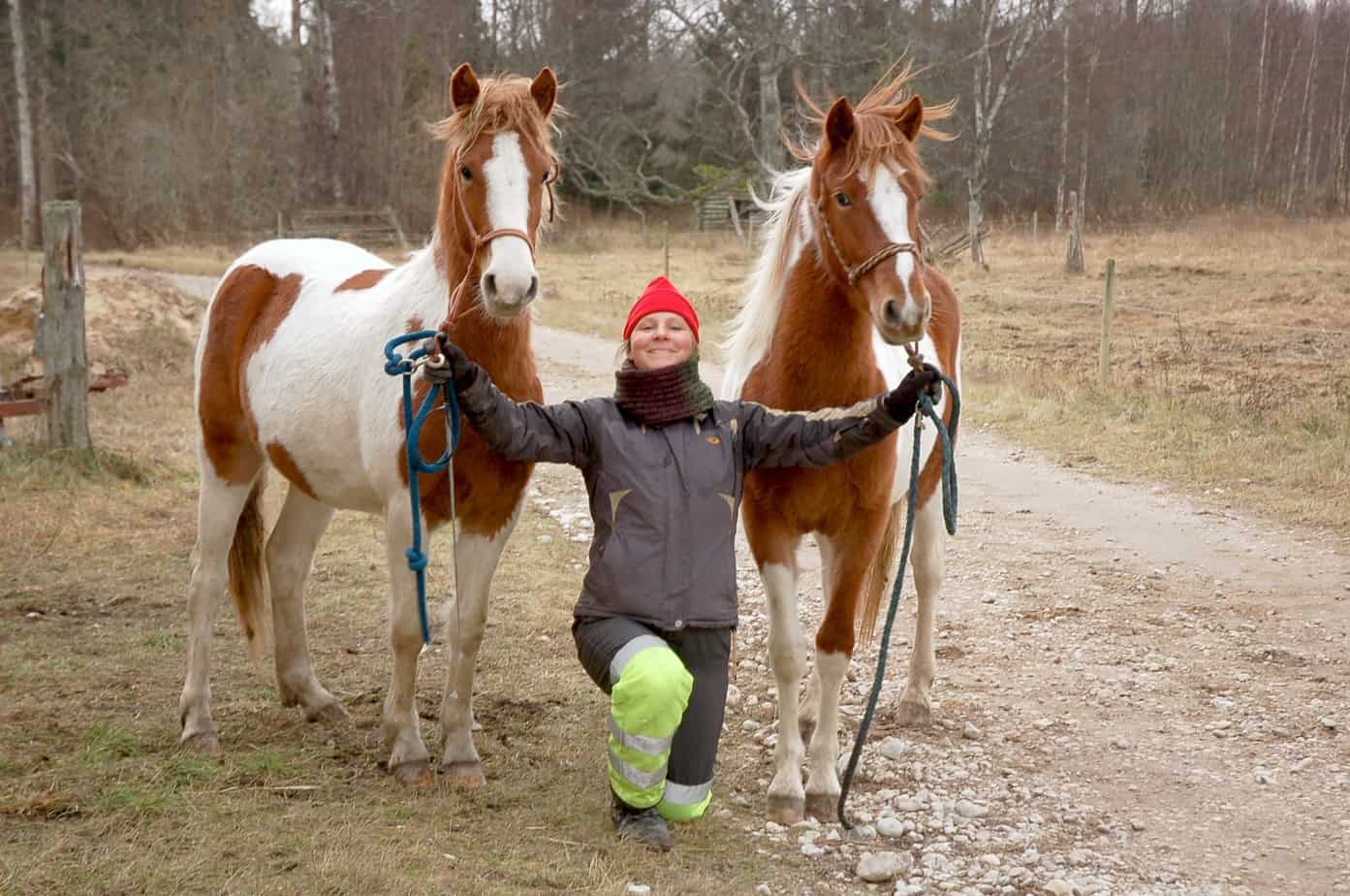 Barefoot (Germany) | Barefoot Treeless Saddles and Other Riding Gear
